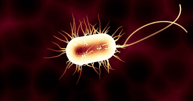 El universo de las bacterias y el Big Data - Bloginnova.com