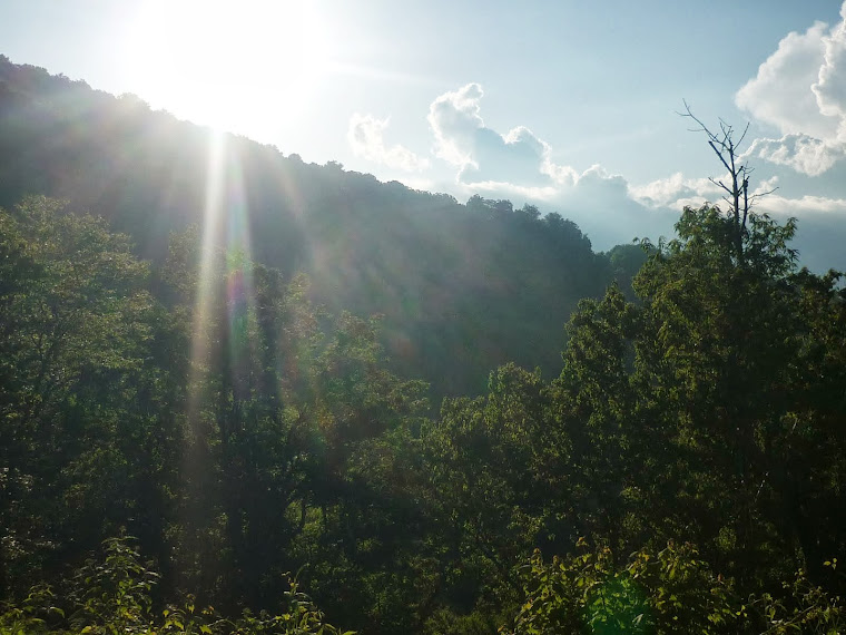 American voyages: Humid Subtropical