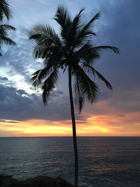 Mr. Egbert goes to India - part 1 - Wanderings