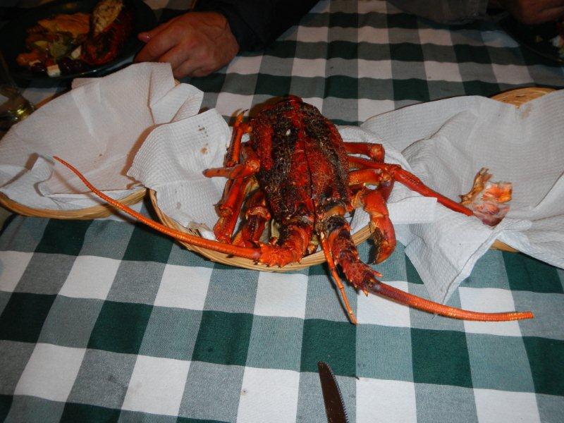 Wille Honne Weskus Toer