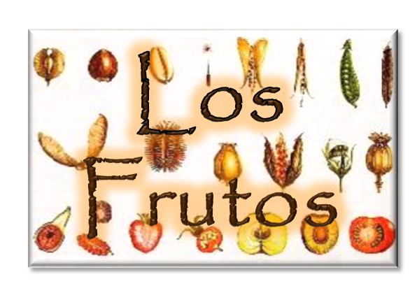 Universo Botánico: Los Frutos II. Clasificación.