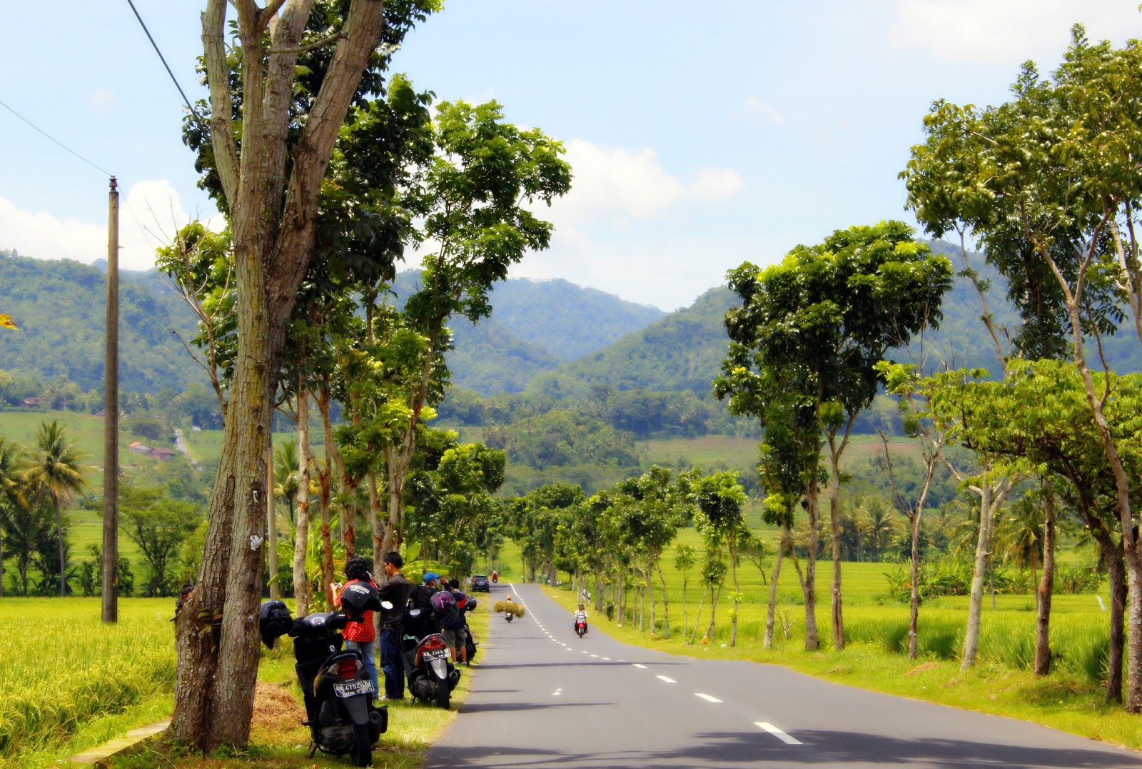 Pemandangan Sawah Desa Kenteng Nanggulan Yang Indah - WEB | LOVEHEAVEN 07