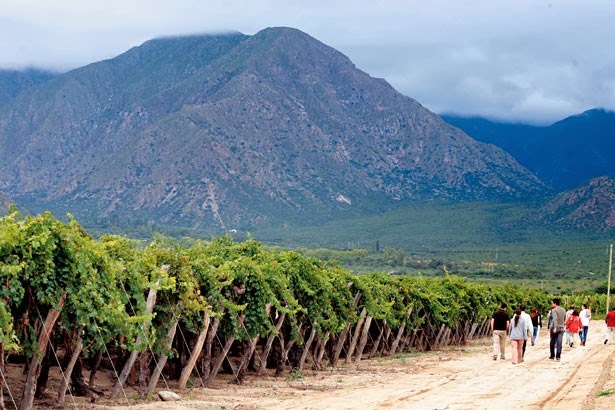 Cafayate, one of the most attractive cities in Salta ~ Tafi del Valle ...