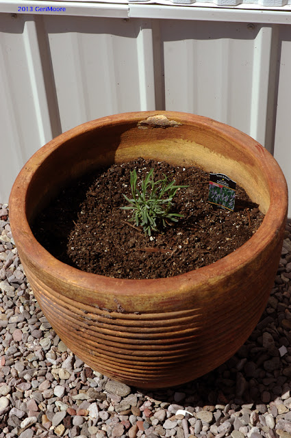 Happy Trails: Chuck and Geri are moving to Florida!