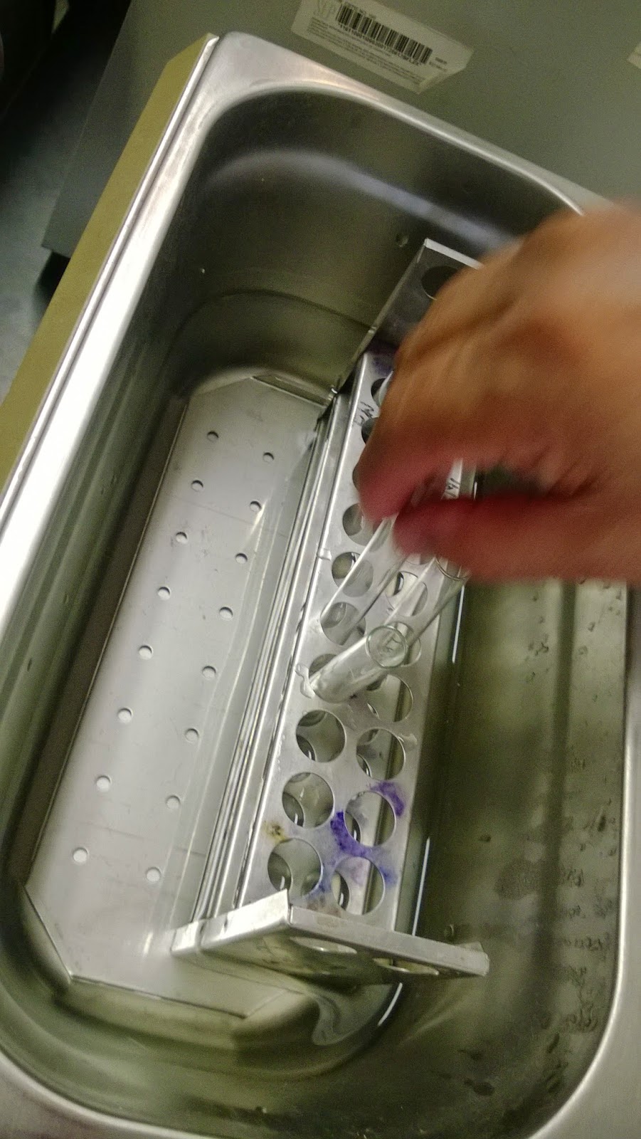 DETERMINACION DE TP & TPT: DETERMINACION DE TP Y TPT