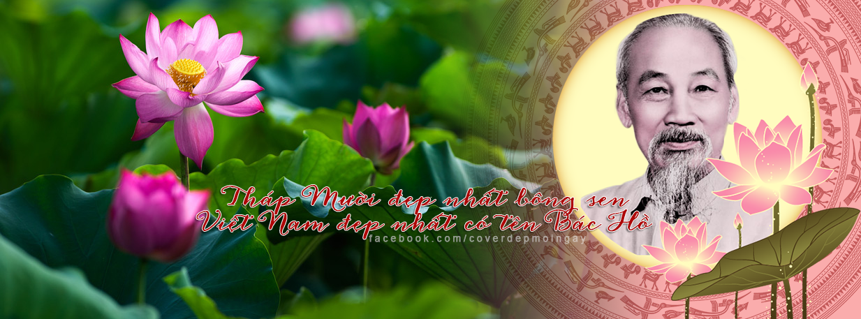 GOOGLE.TIENLANG: Bác Hồ và Bông Sen