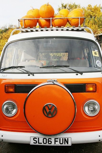 the pink clutch ...: Fall Decorating ...