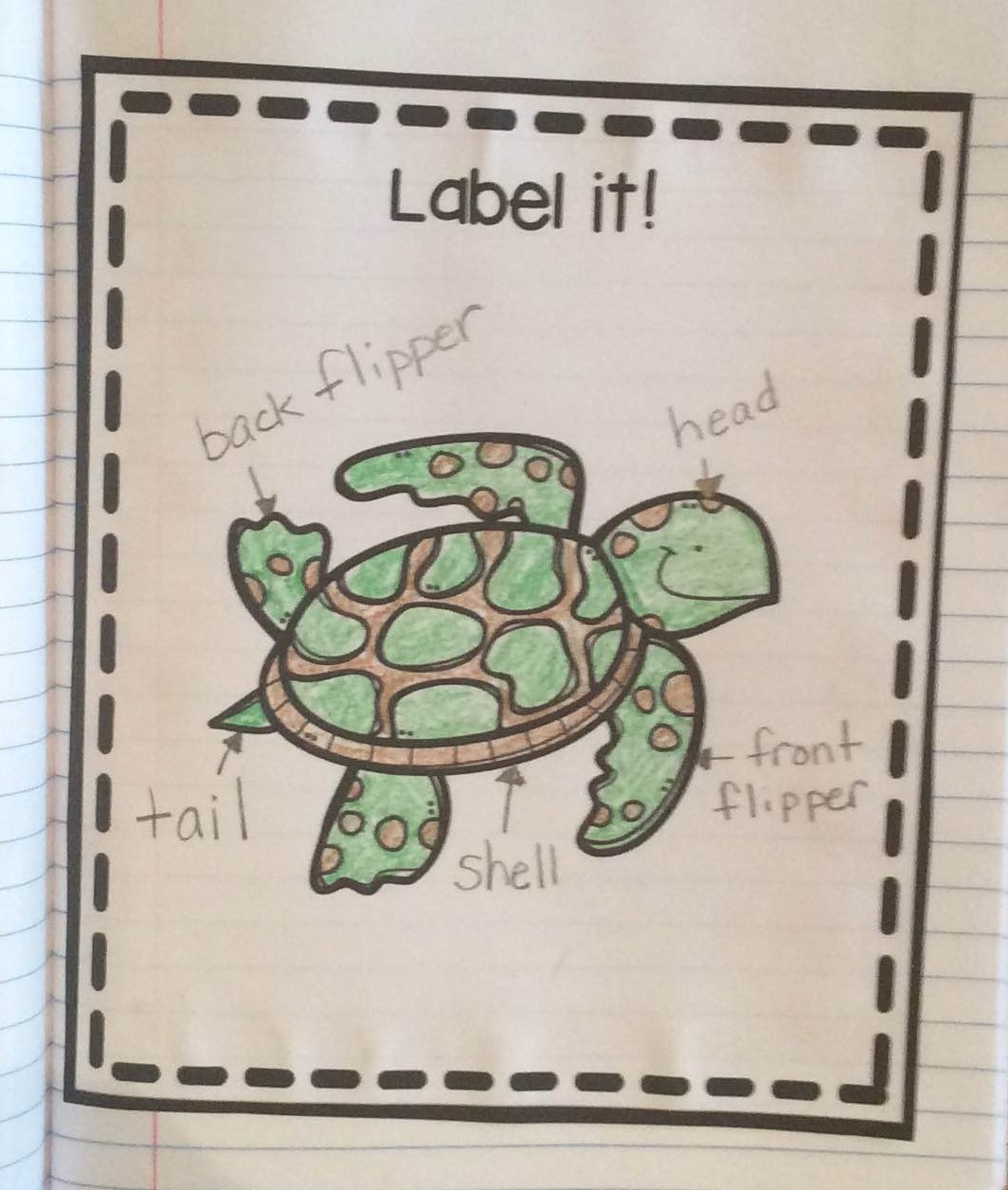 Interactive Writing Notebook for First Grade - First Grade Centers and More