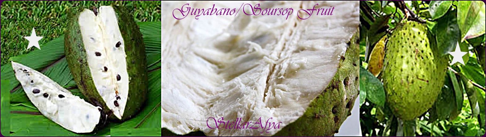 Stellar Afya: Why you should add Guyabano/Soursop/Matomoko to your ...