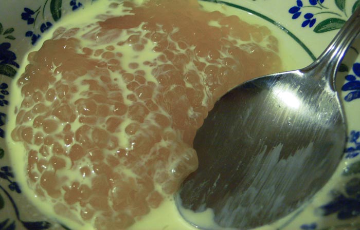 Walking Upside Down: Lemon sago