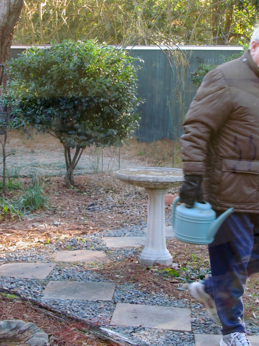 Marty's Fiber Musings: It's Been A Ghastly Winter