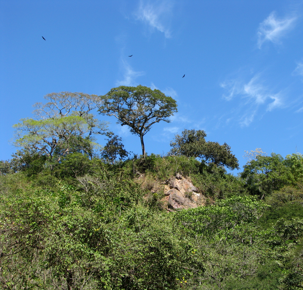 Cliff view from below