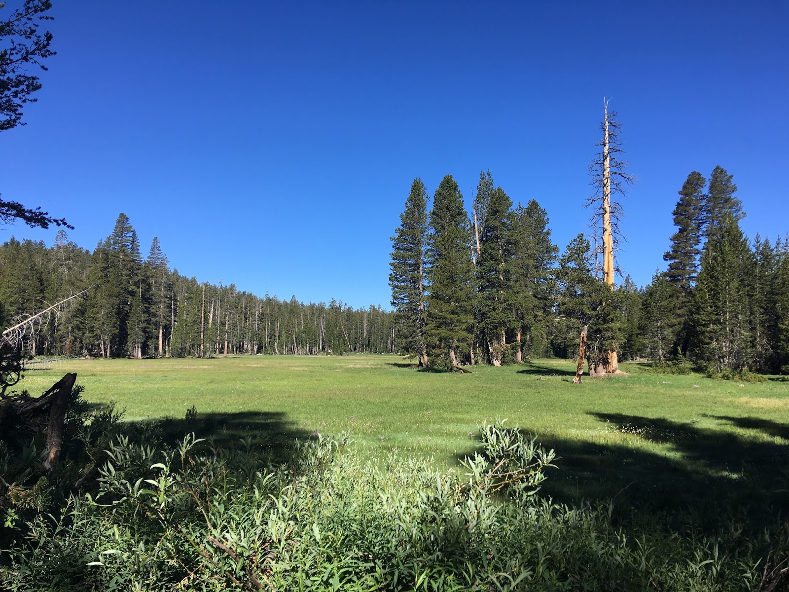 Tale of CA 168 West and the failed Piute Pass Highway; the climb to ...
