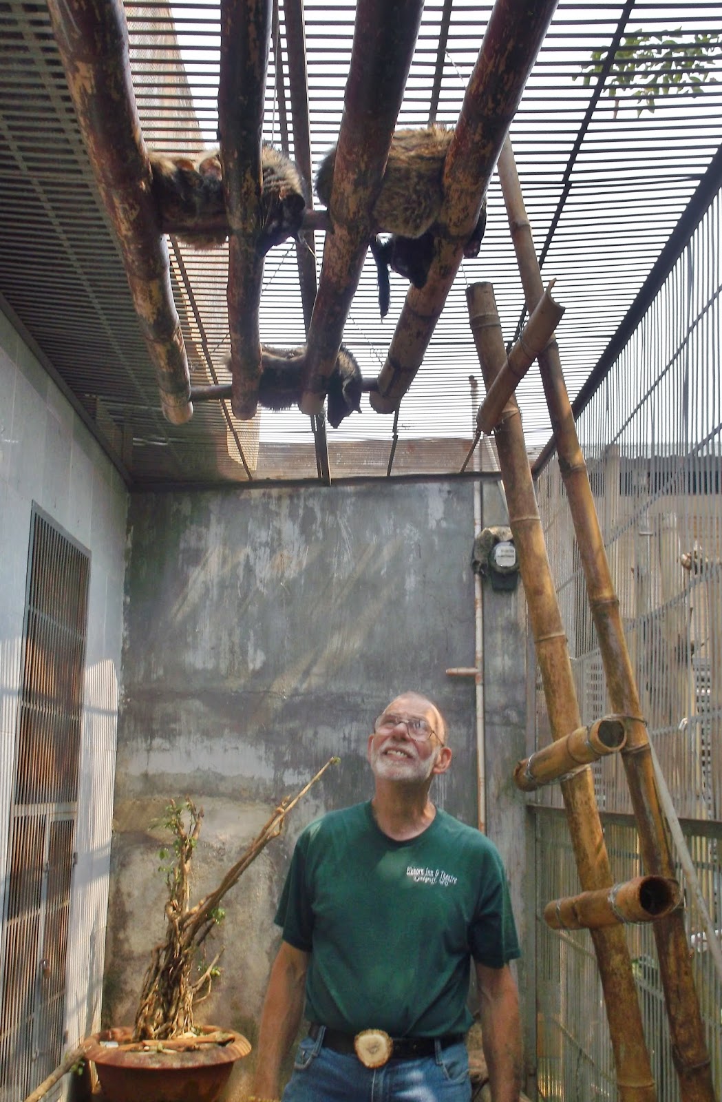 We Live In The Country!: Good Morning Vietnam! Part 10: Buon Ma Thout ...