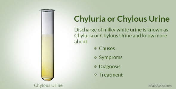 EXAMS AND ME : Chyle