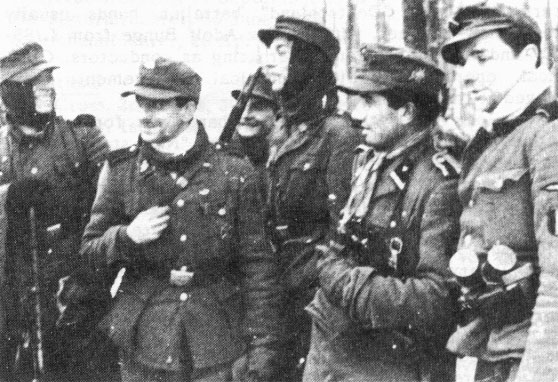 Neues Europa: 1st Battery SS Assault Gun Det. 4 With the „Wallonien ...