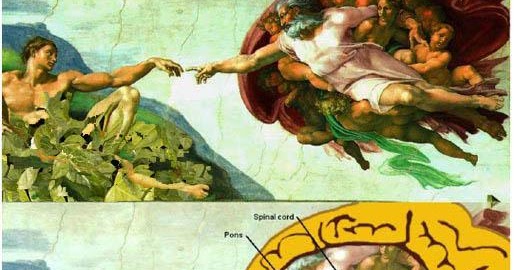 Amazing and Interesting Facts: God and brain - Michelangelo’s Secret ...
