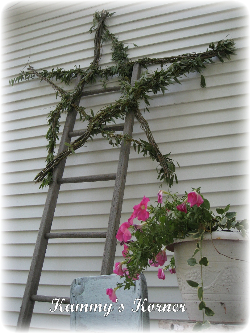 Kammy's Korner: Braided Willow Tree Star