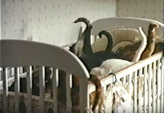 The Bloody Pit of Horror: Strays (1991) (TV)