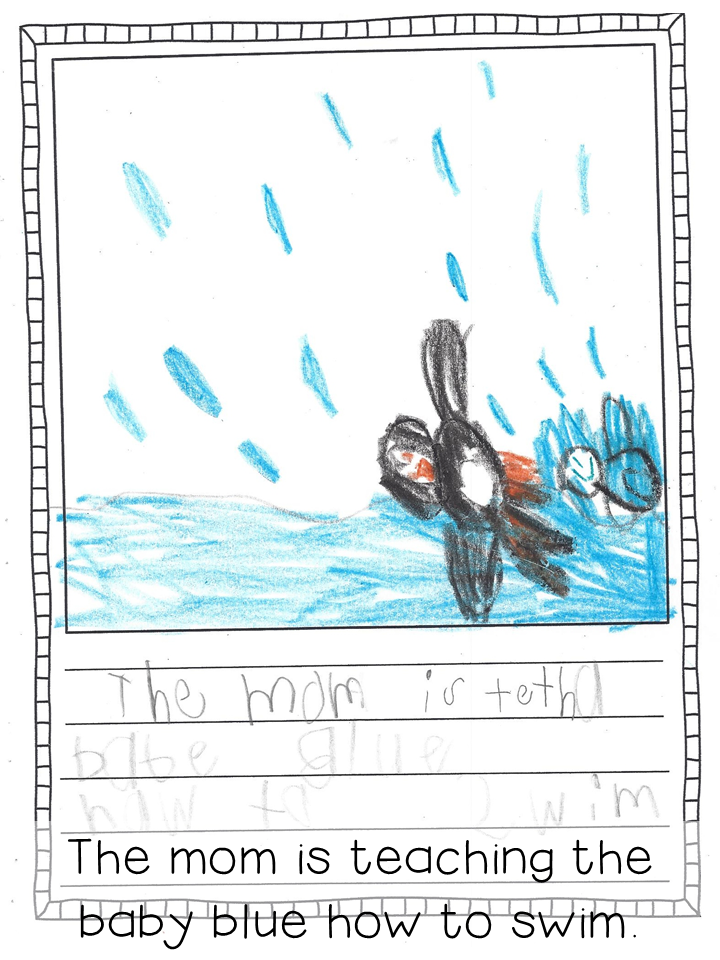 informational writing in kindergarten with student samples