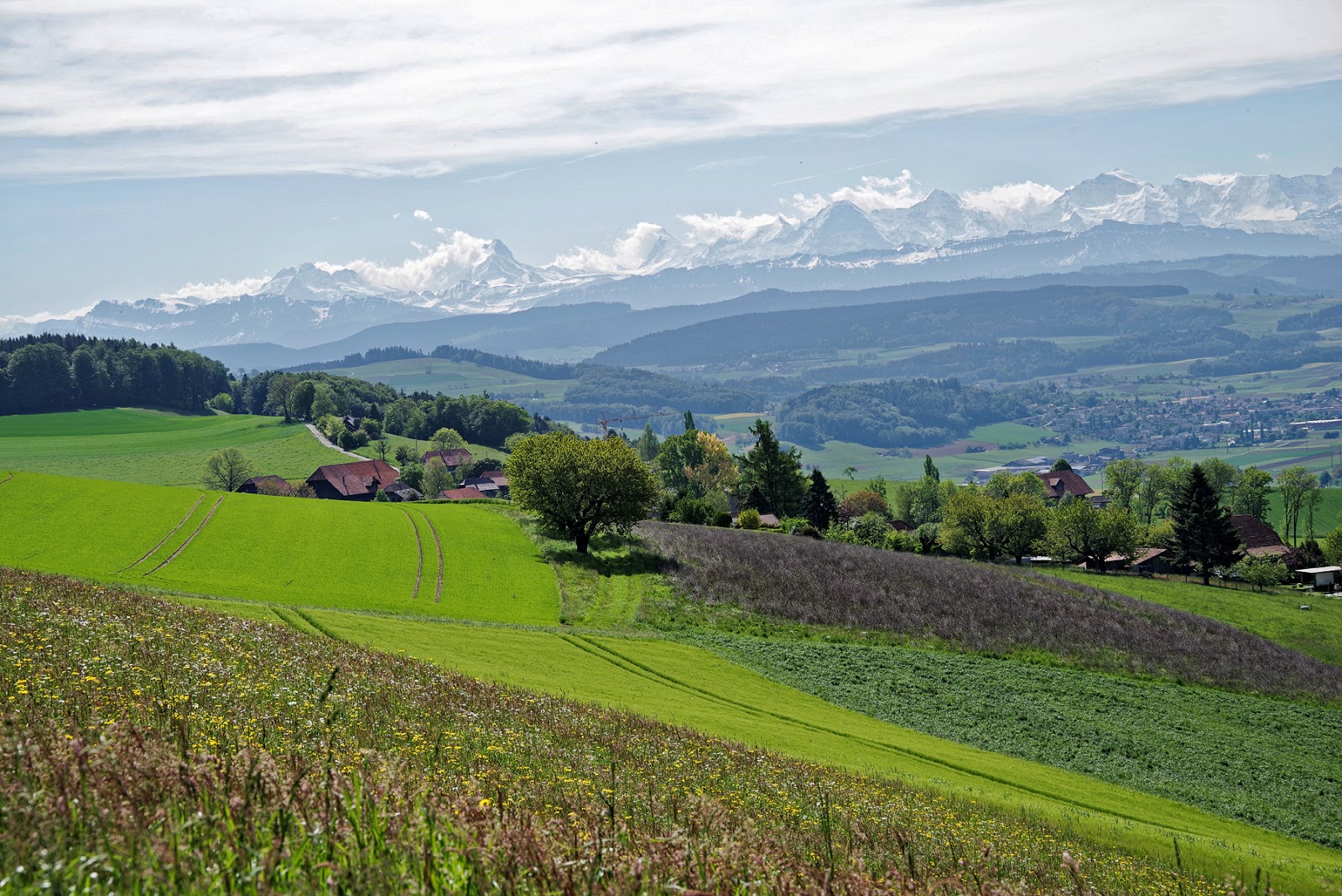 Wanderbare Geschichten: Elefanten Safari am Bantiger
