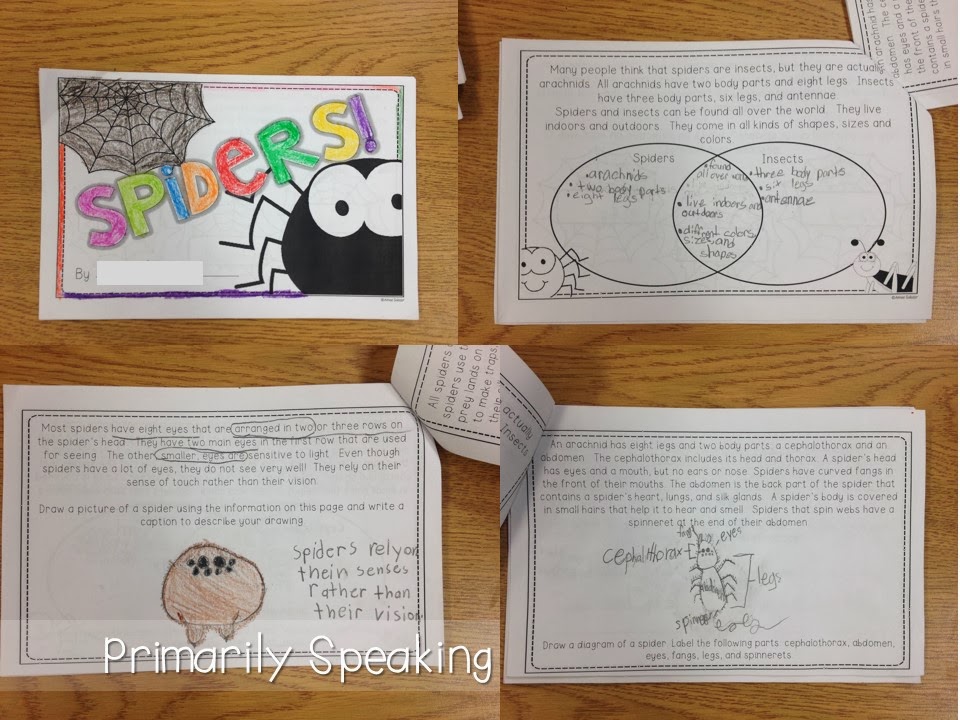 Spider Time!! | Primarily Speaking