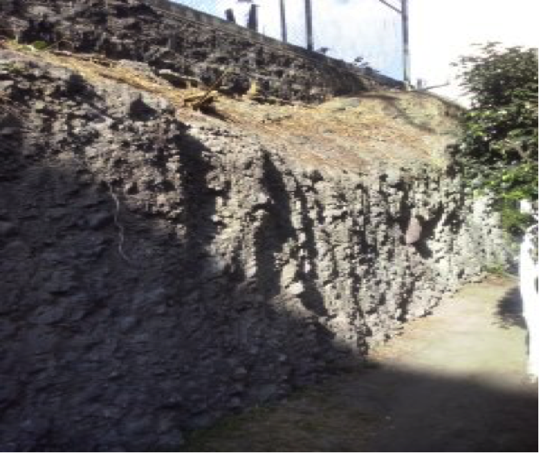 Cañada del Olivar: Limpieza de talud