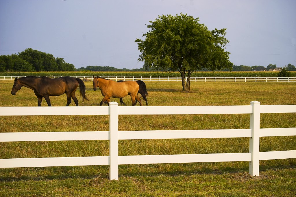 Future Outdoors Blog: Vinyl Ranch Rail Fence - The Best Choice for Your ...