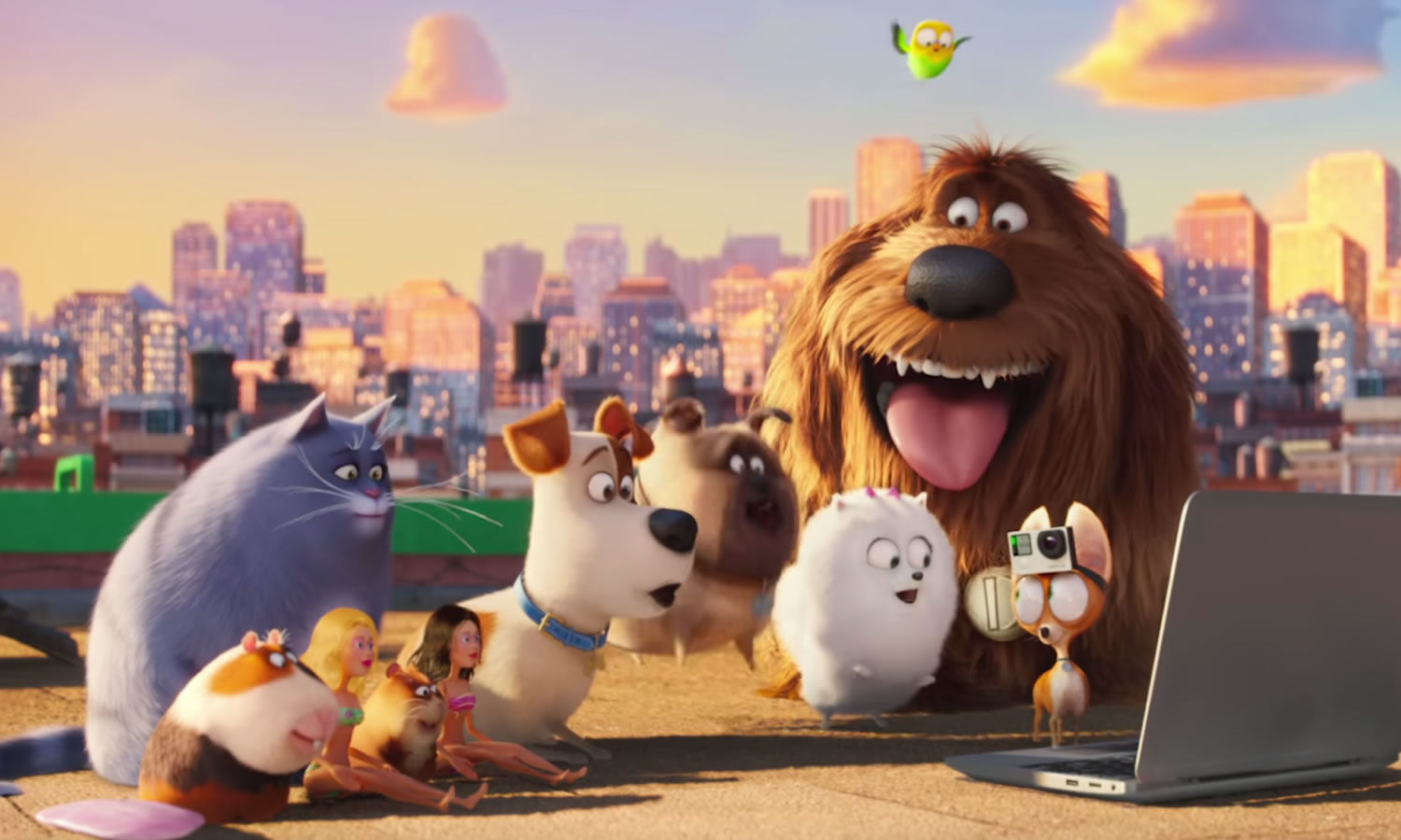 Pets – A Vida Secreta dos Bichos: Crítica - Casos Acasos e Livros