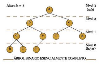 ESTRUCTURA DE DATOS: Arbol (informatica)