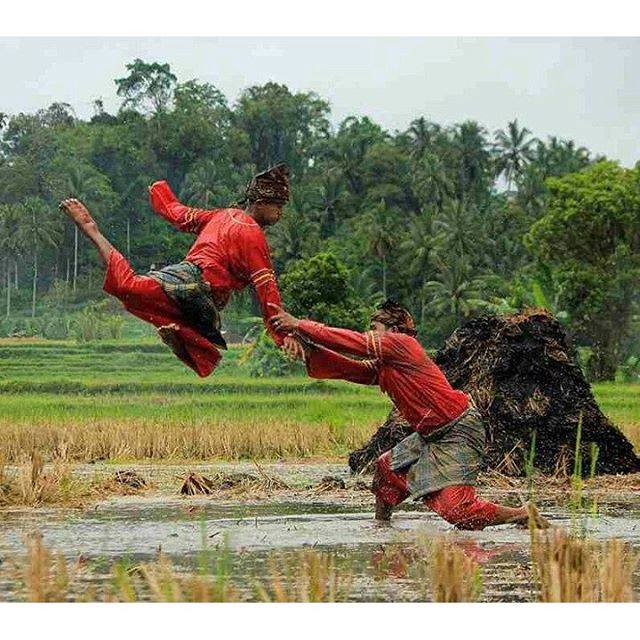 pencak silat suaka pasung laksa banyuwangi: logo pencak silat se nusantara