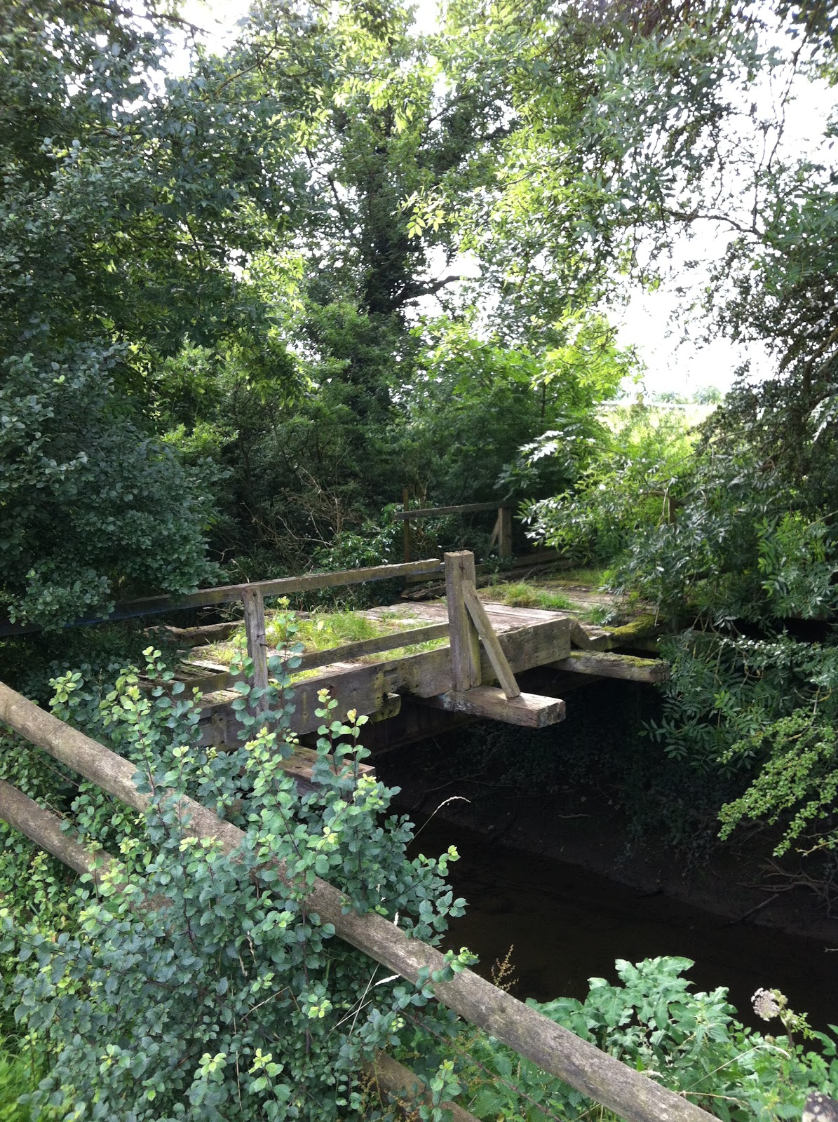 Three Men On A Walk: Foxton Locks