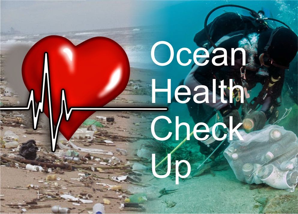 Planet Earth Diver: Ocean Health Check Up