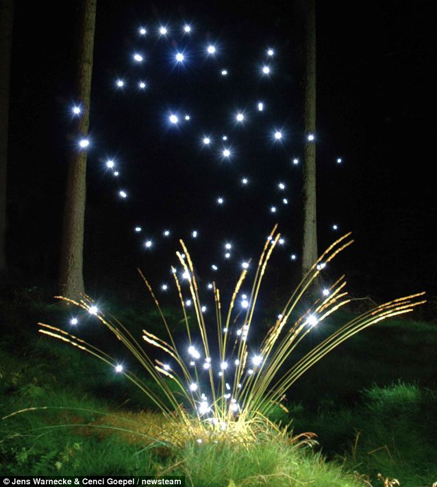 Beautiful World : Fresh Collection of Amazing, Beautiful and Funny Pics ...