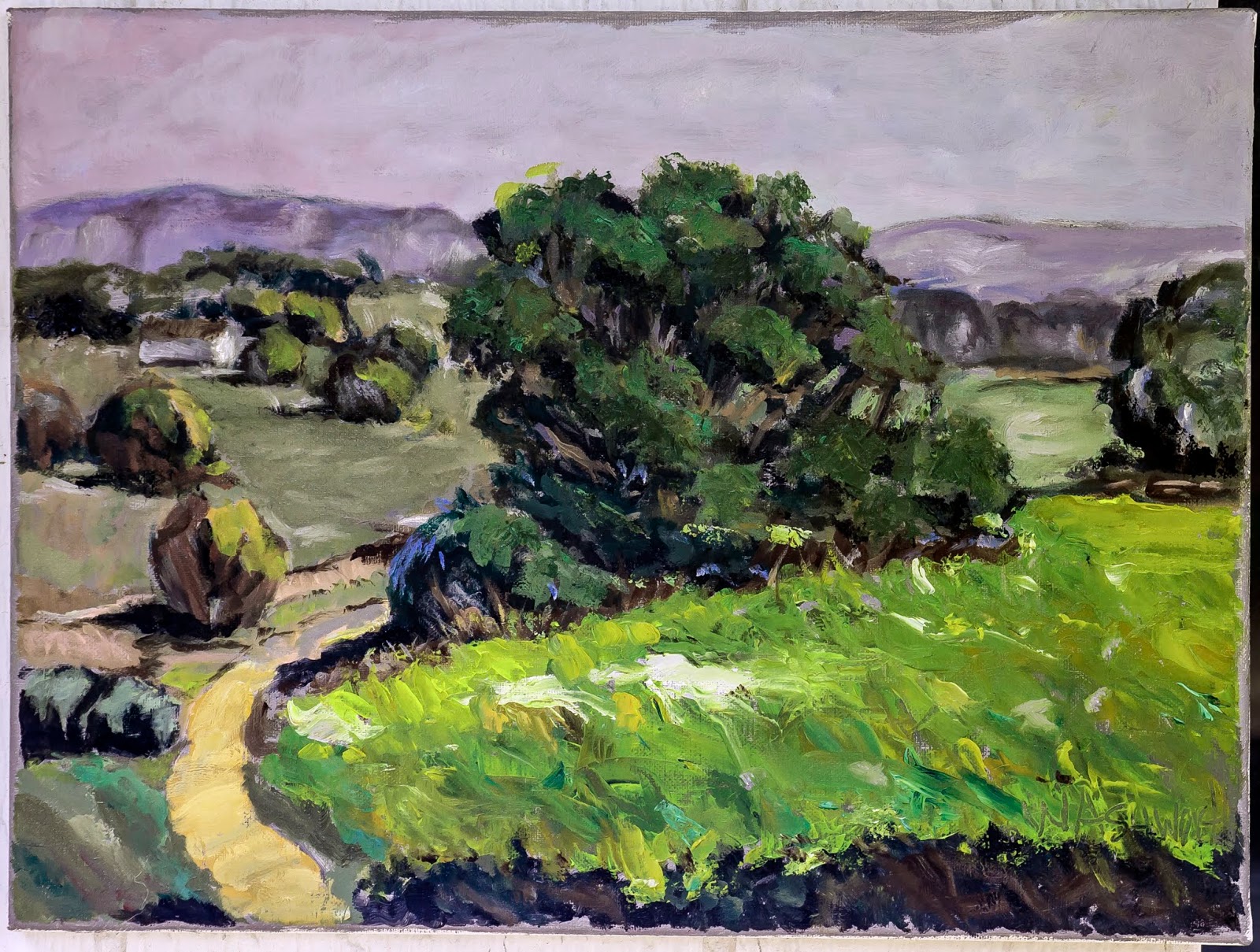 Pasture Scene