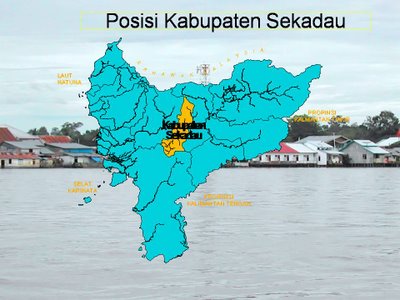 Kopassus Latihan Perang di Hutan Sekadau | Pojok Militer