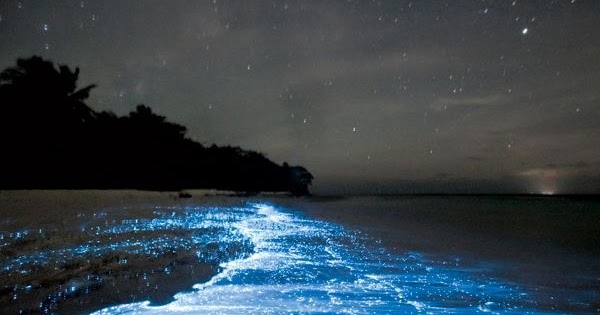 เกาะรุ้ง: เกาะแห่งสวรรค์บนดิน