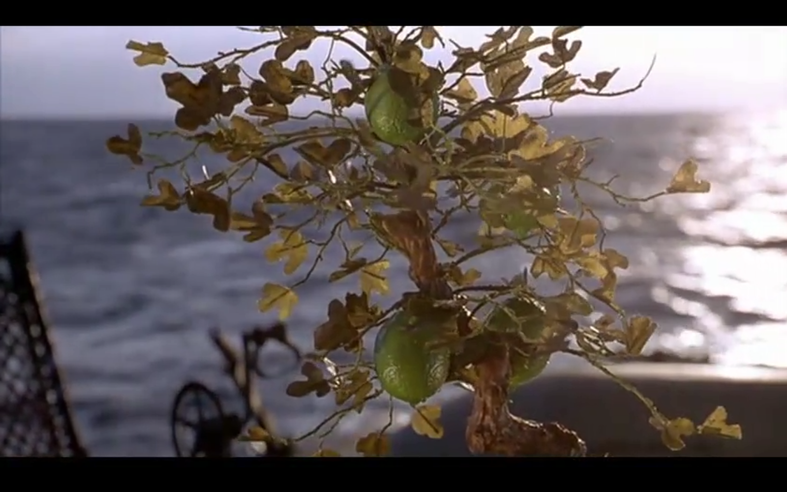 The Traumatic Cinematic: An Exercise in Taste and Lack Thereof ...