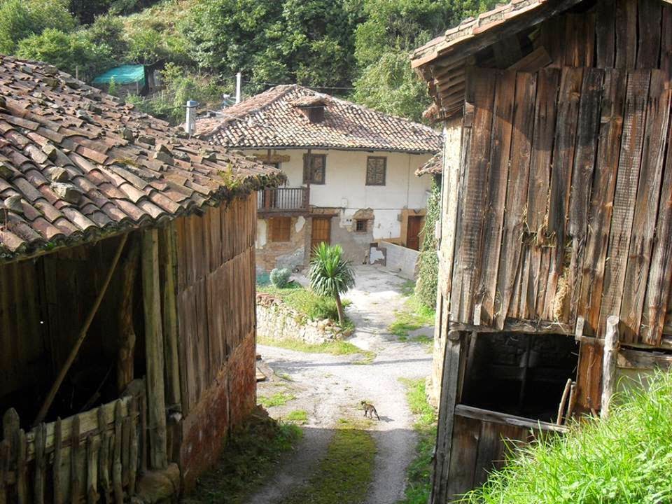 El blog de "Acebedo": El nombre de "Acebedo"