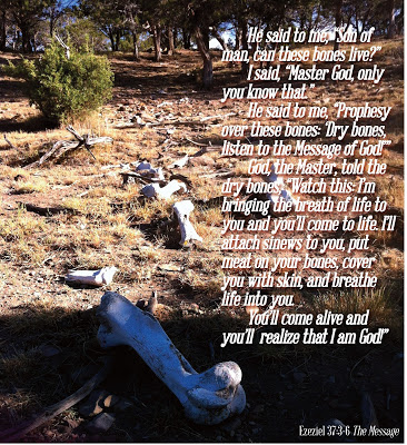 My Strength: Ezekiel 37 - "Dry Bones Come Alive"