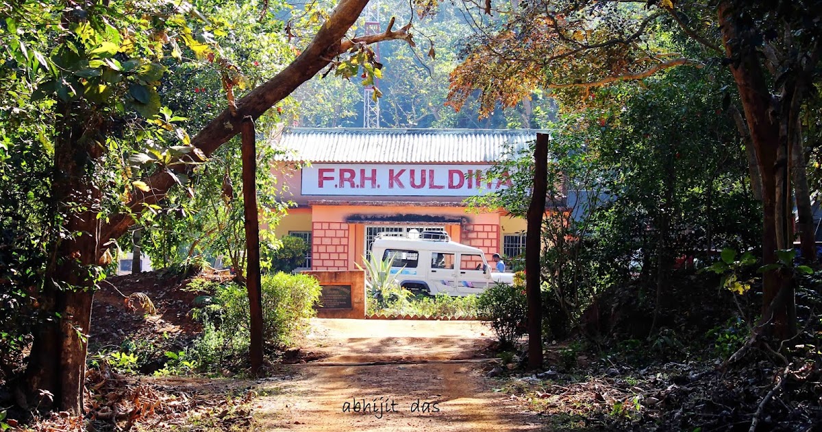 KULDIHA FOREST TOUR: KULDIHA FOREST...pin drop silence.....of nature...