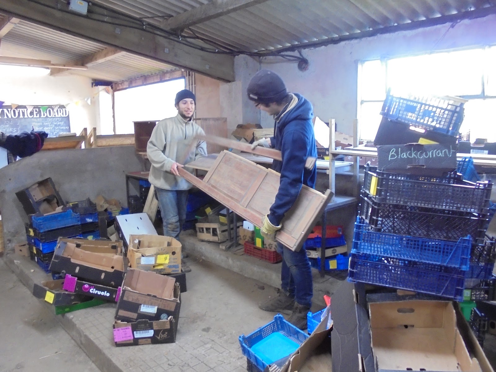 Bosavern Community Farm: Revamping the packing shed