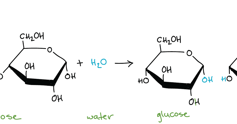 Hydrolysis Reactions What Are They And What Causes Them 51 Off
