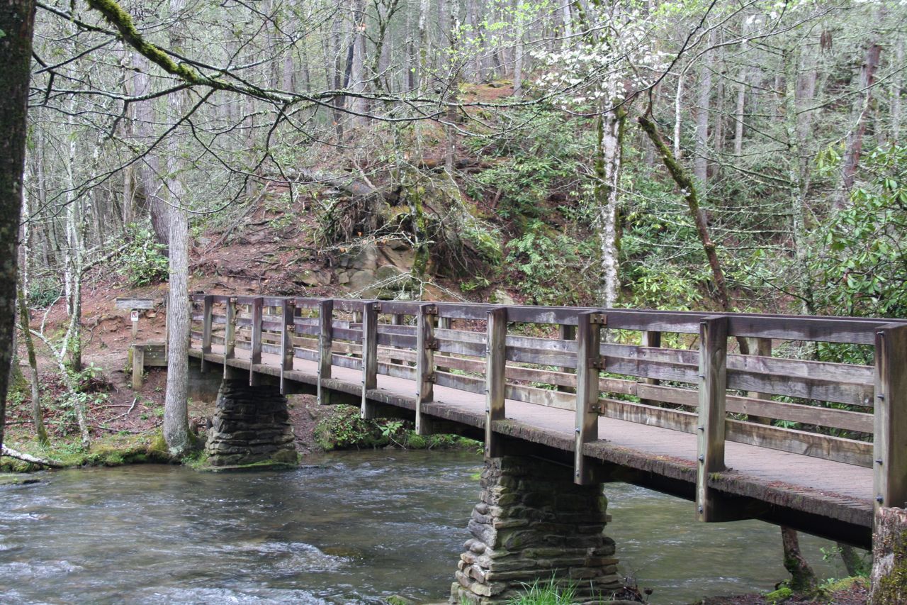 Blue Roads to Hiking Trails: Abrams Falls Hike