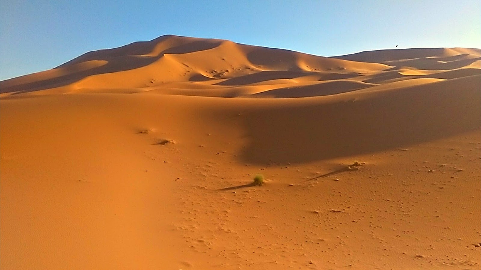 Fotos Do Deserto Do Saara - FDPLEARN