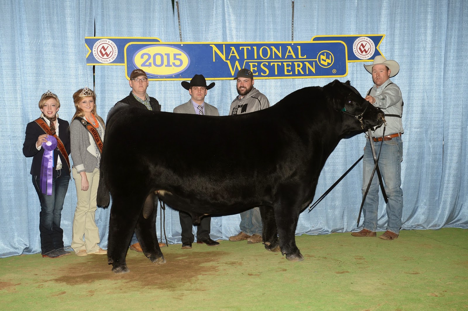 Executive Sires, Inc.: BPF Beast - Triple Crown Winner - Sires a ...