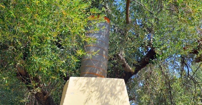 The History of the Oven