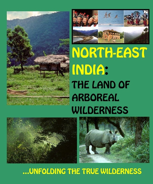 Indian Voyagers: North East India Wild Life tours(07 SISTERS Tours)