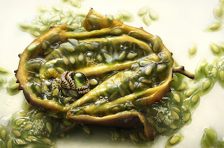 Co-CoCreate: Peter Lippmann