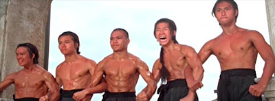 shaolin temple review | Asian Action Cinema